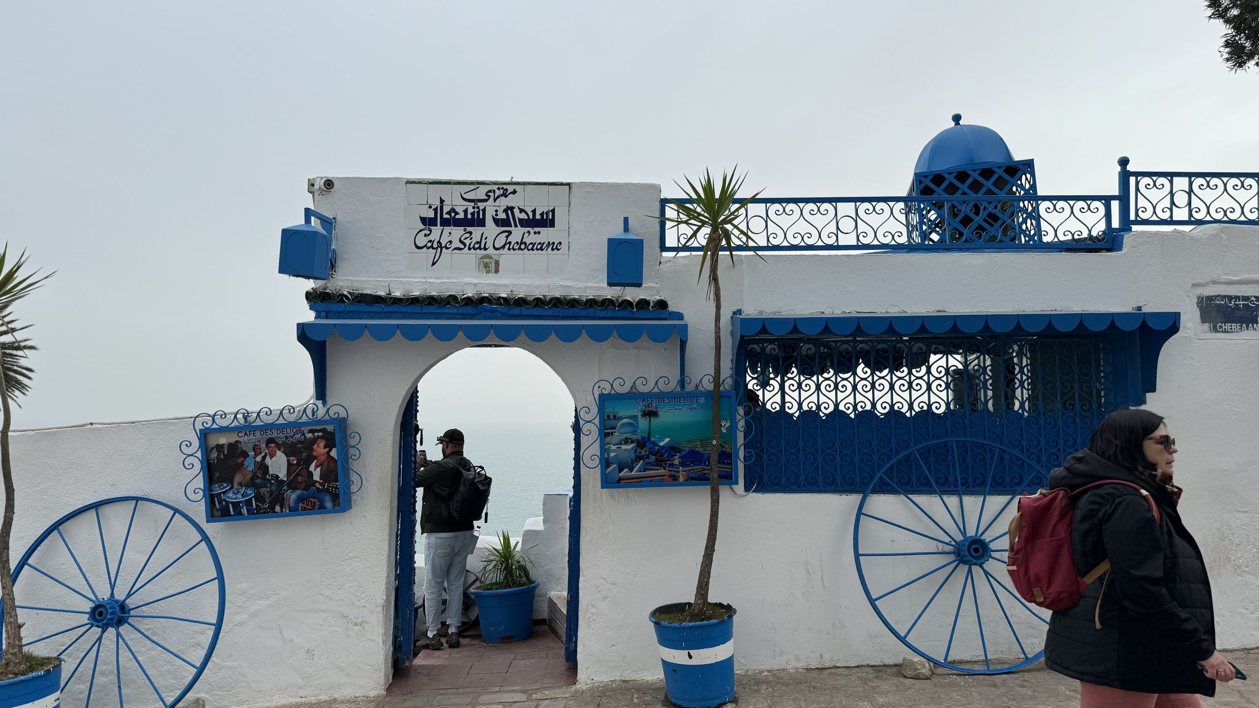 Café des Délices: cafe with the best views in Sidi Bou Said - Halal Xplorer